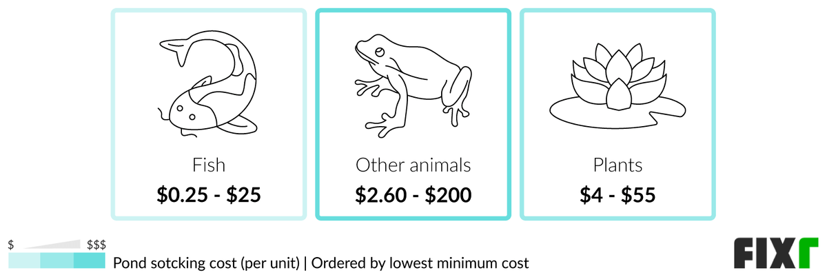 2022 Cost to Build a Pond | Backyard Pond Cost