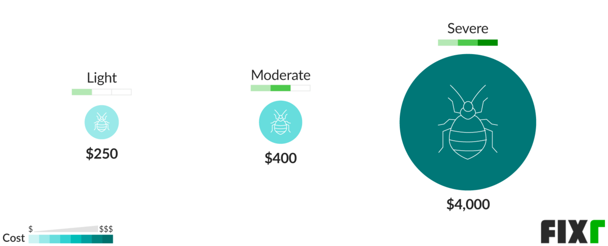 2020 Cost to Exterminate Bed Bugs | Bed Bug Treatment Cost