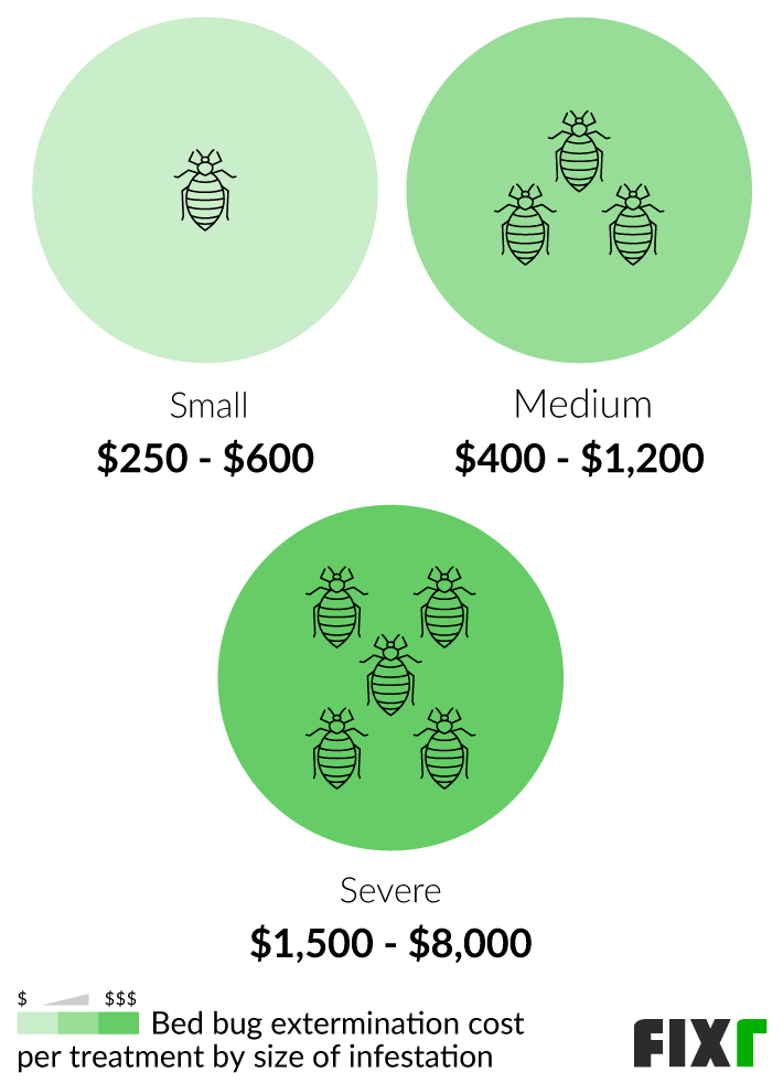 2023 Cost to Exterminate Bed Bugs | Bed Bug Treatment Cost