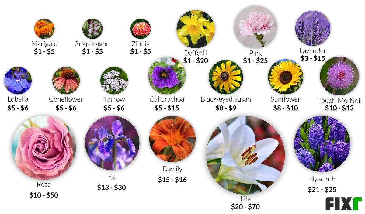 Flower Bed Installation Cost | Raised Garden Bed Cost