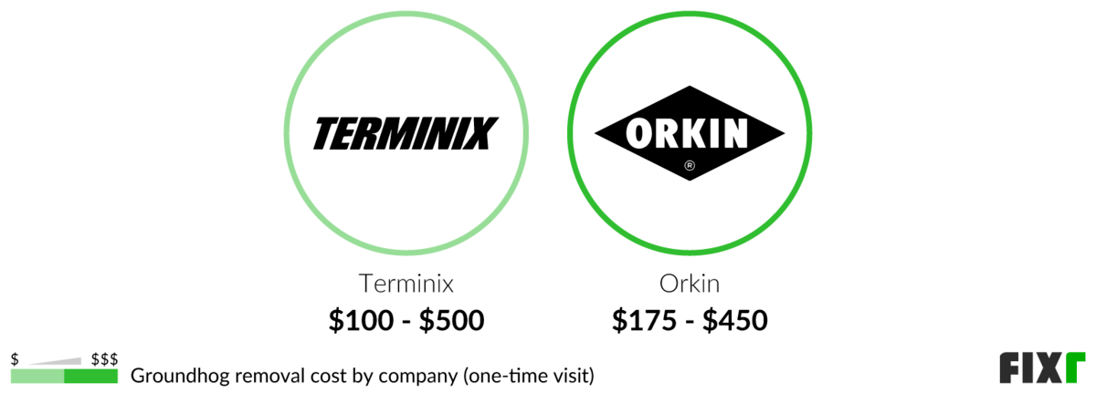2022 Groundhog Removal Cost | Woodchuck Removal Cost
