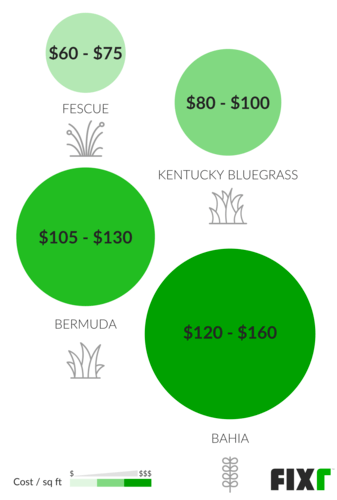 2020 Cost to Seed Lawn | Average Price to Plant Grass