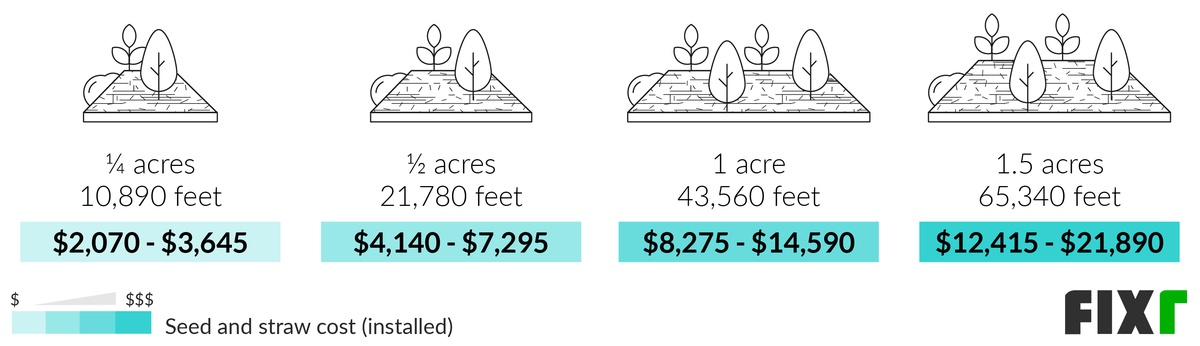 2021 Cost to Seed Lawn | Grass Seeding Cost