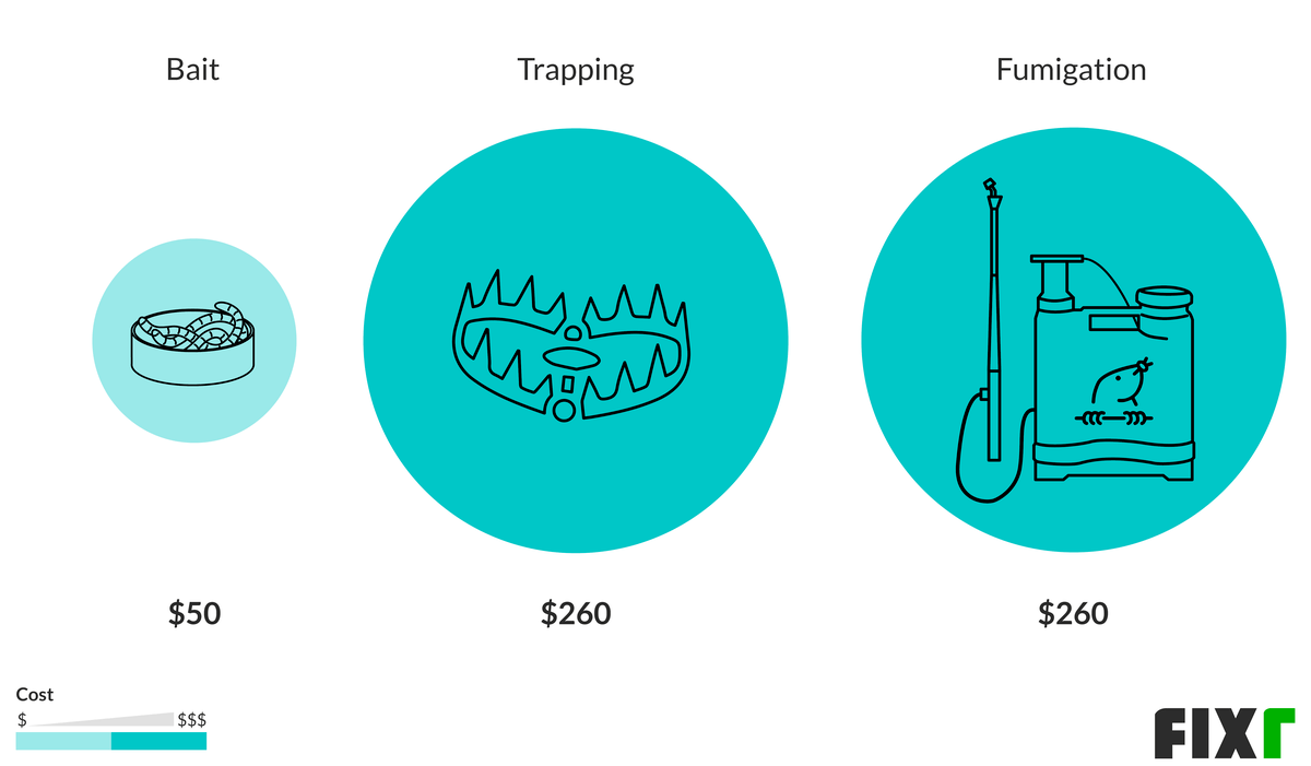Mole Extermination Cost | Garden Mole Removal Cost