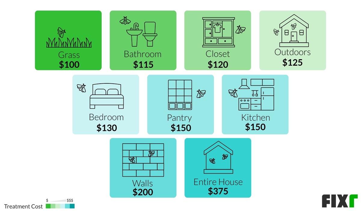 Moth Extermination Costs | Moth Fumigation Cost