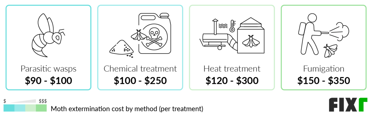 Moth Extermination Costs | Moth Fumigation Cost