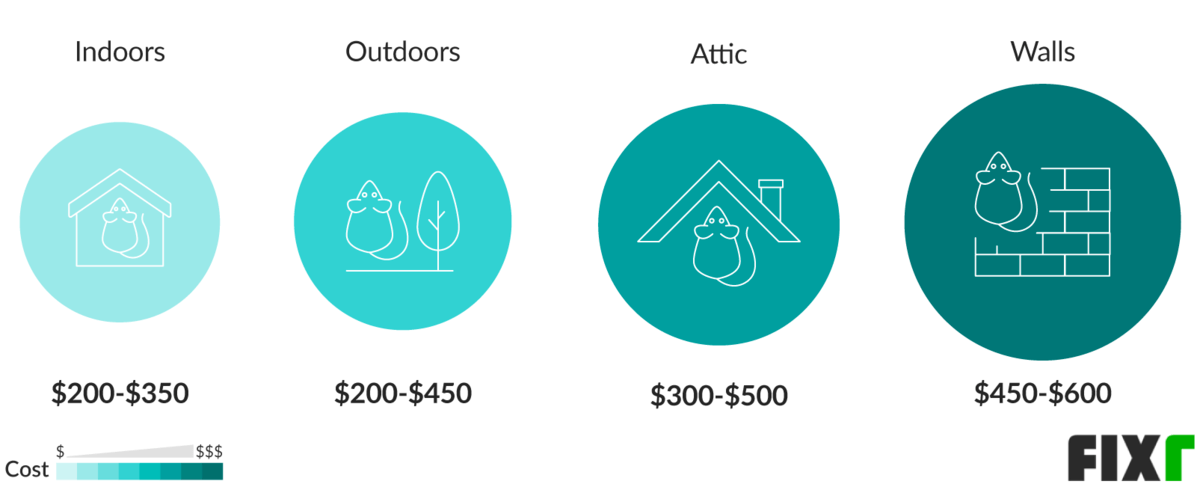 2020 Rat Extermination Cost | Rats in Attic Removal Cost