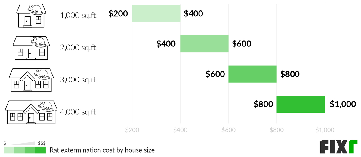 Cost to Exterminate Rats | Rat Exterminator Cost