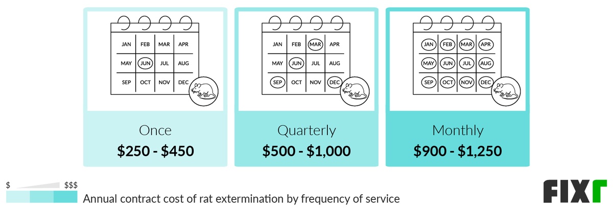 Cost to Exterminate Rats | Rat Exterminator Cost