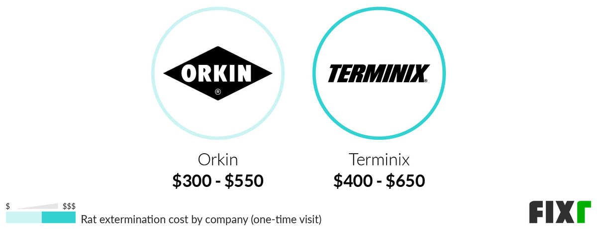 2022 Cost to Exterminate Rats | Rat Exterminator Cost
