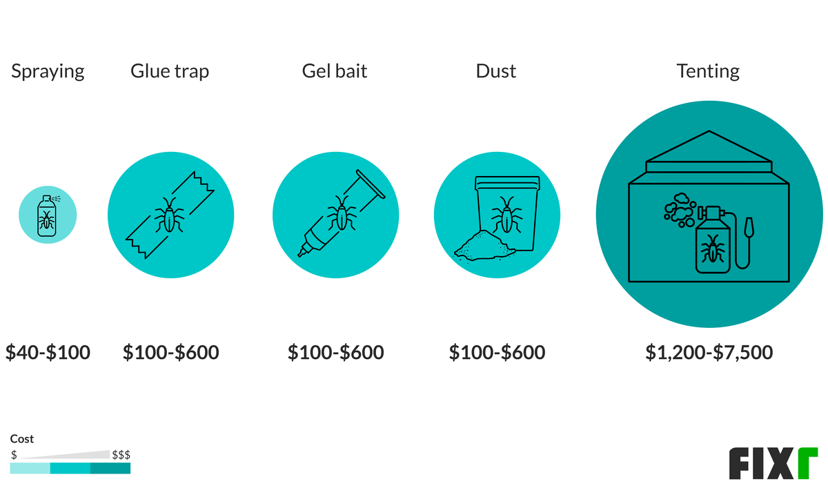 Roach Exterminator Cost | Exterminator Prices for Roaches