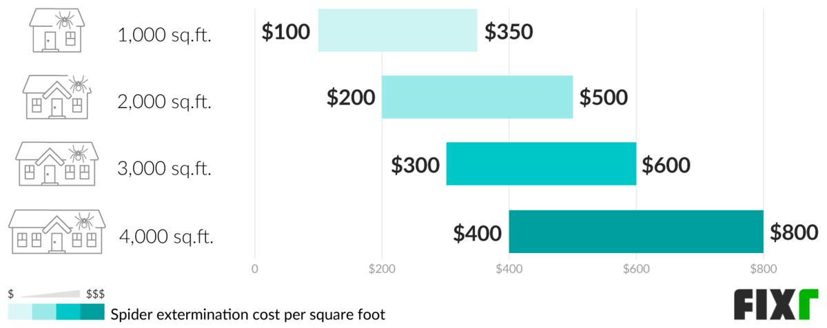 2021 Spider Exterminator Cost | Spider Pest Control Cost