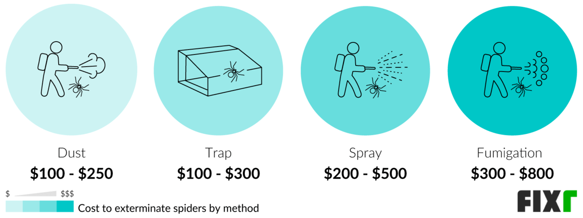 2021 Spider Exterminator Cost | Spider Pest Control Cost