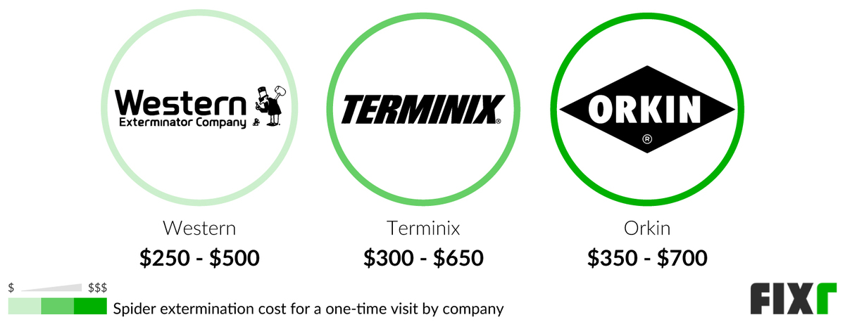 2022 Spider Exterminator Cost | Spider Pest Control Cost