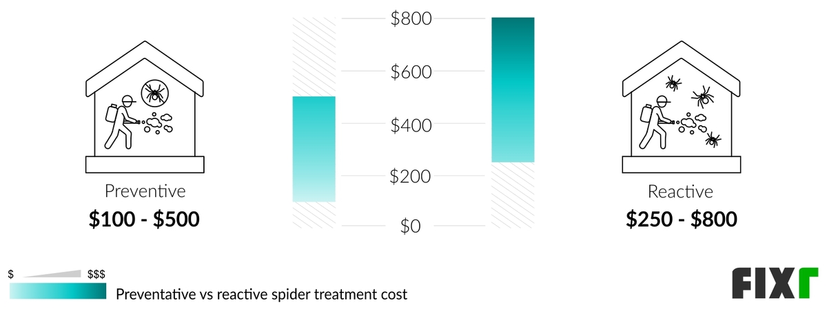2022 Spider Exterminator Cost | Spider Pest Control Cost