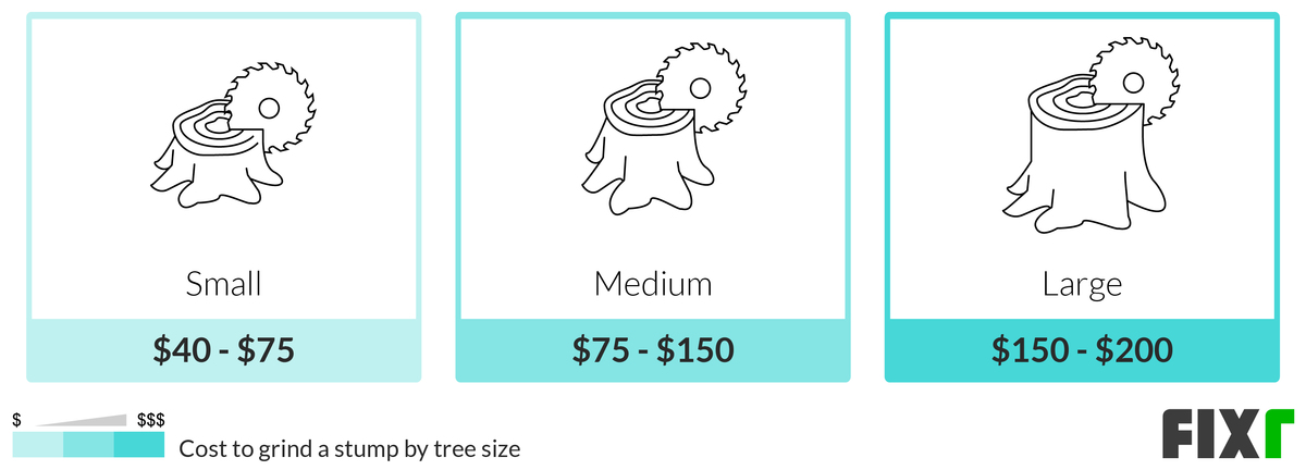 2022 Stump Grinding Cost | Average Cost of Stump Grinding