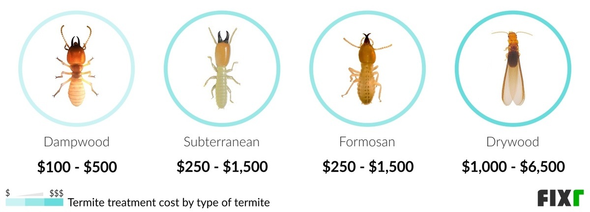 2023 Termite Treatment Cost | Termite Extermination Cost