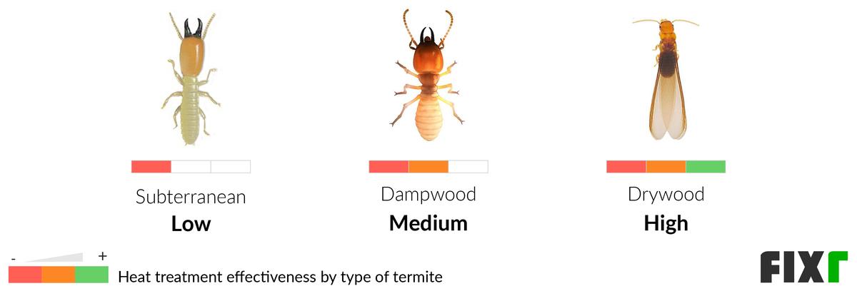 2022 Termite Heat Treatment Cost | Non Toxic Termite Treatment