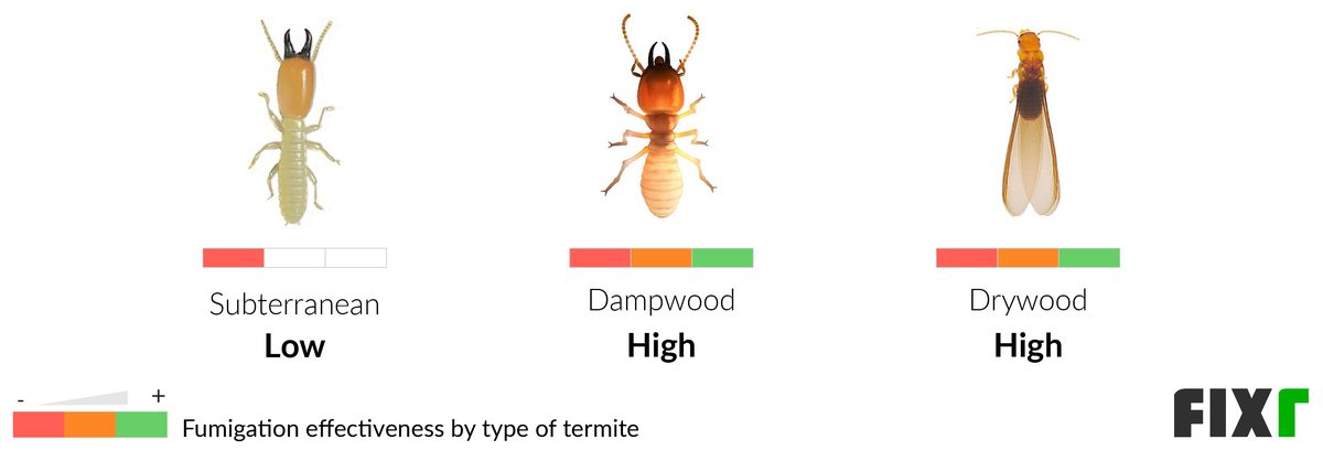 2023 Termite Tenting Cost | Cost to Fumigate for Termites
