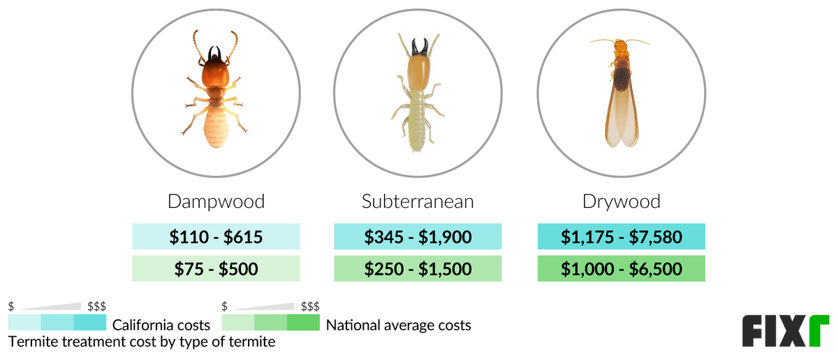 2022 Cost of Termite Treatment in California
