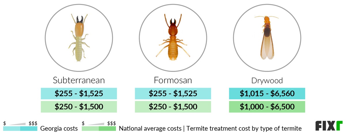 2022 Cost of Termite Treatment in Georgia