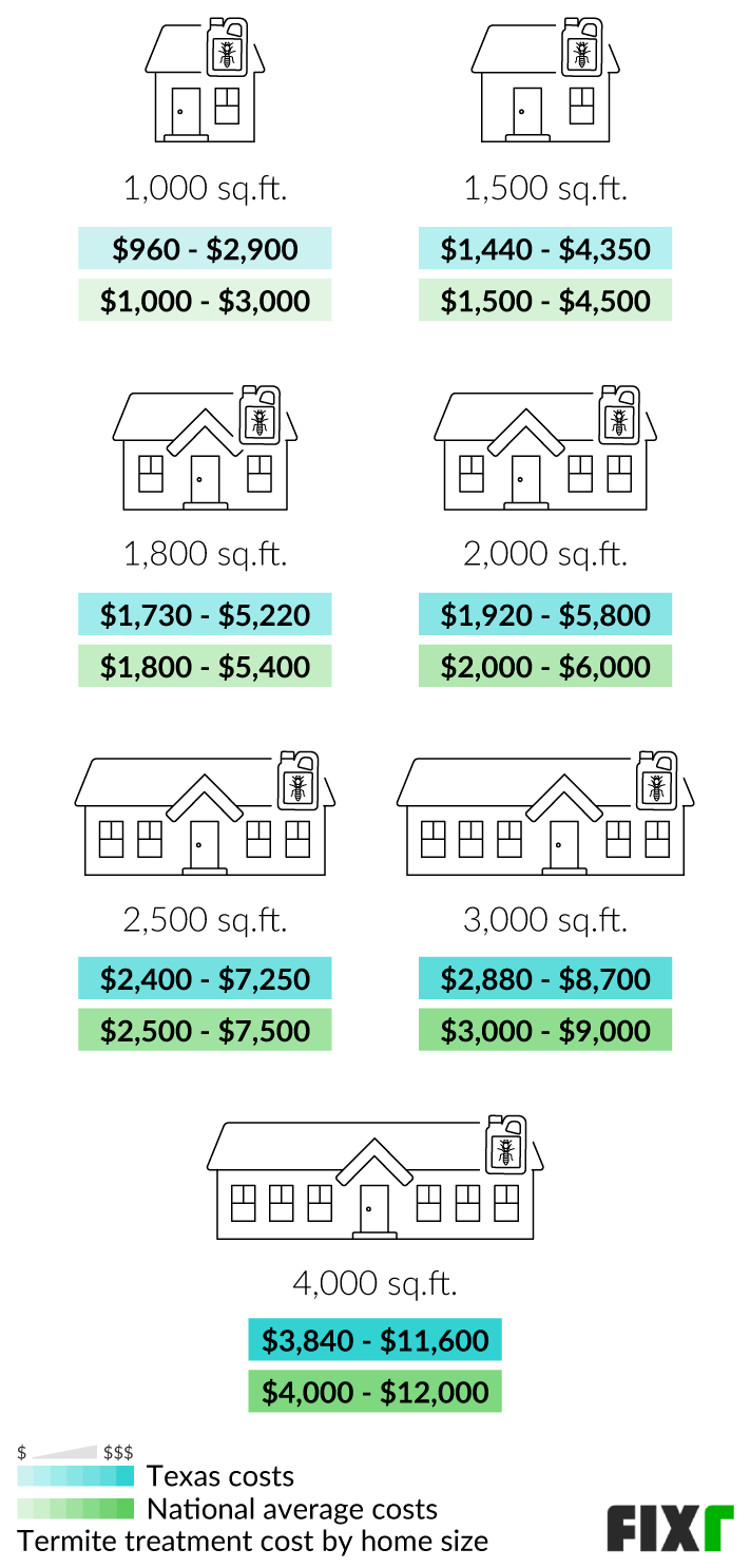 2022 Cost of Termite Treatment in Texas