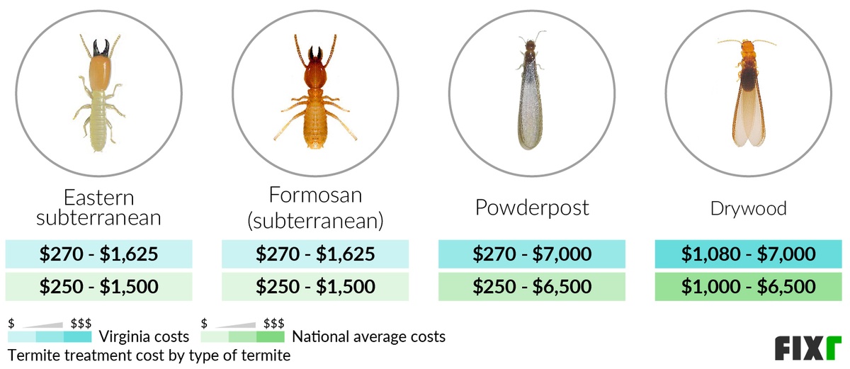2022 Cost of Termite Treatment in Virginia