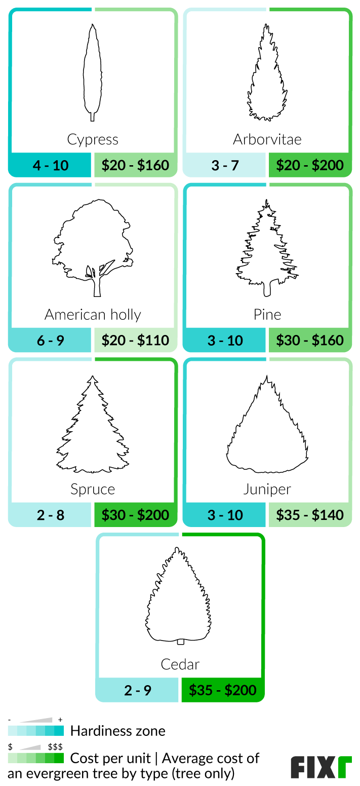 2022 Tree Planting Cost | Average Price to Plant a Tree