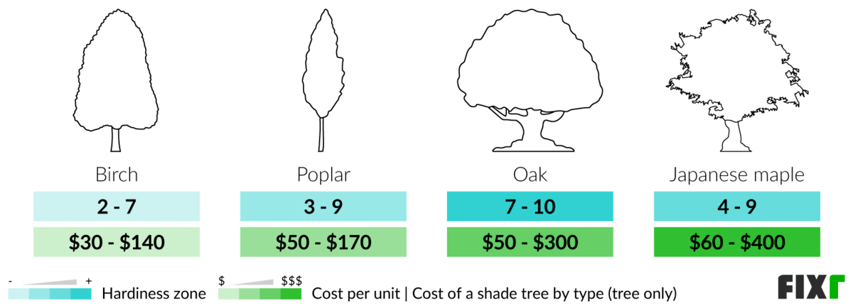2022 Tree Planting Cost | Average Price to Plant a Tree
