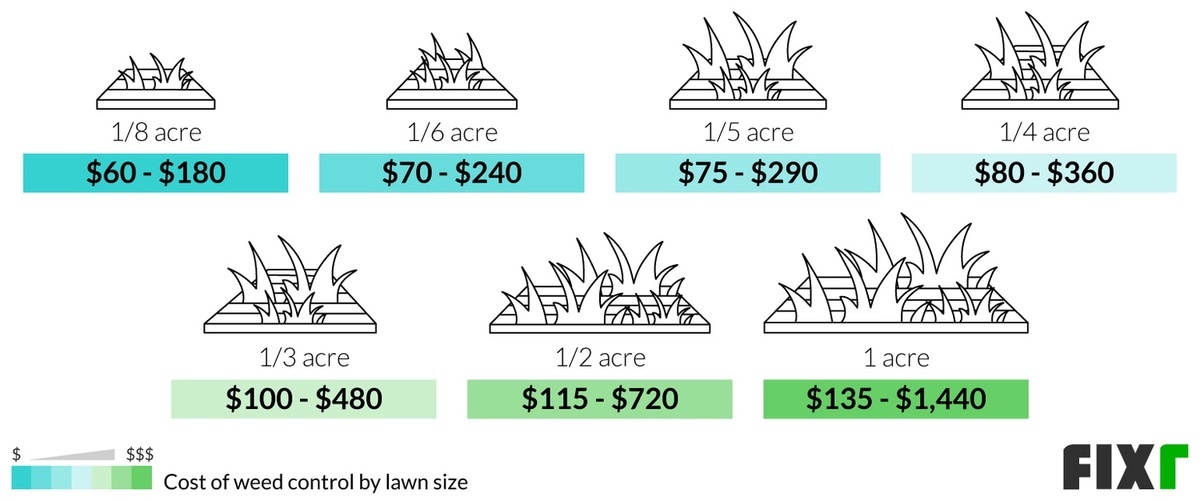 2022 Weed Removal Service Cost | Weed Control Cost